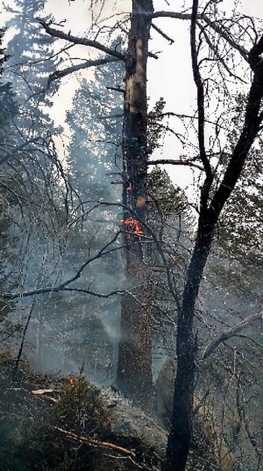Crews fight fire in Crandall Canyon | News, Sports, Jobs - Daily Herald